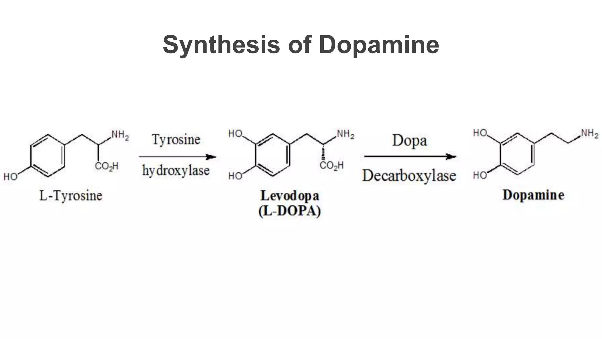 Dopamine & levodopa | PPTX