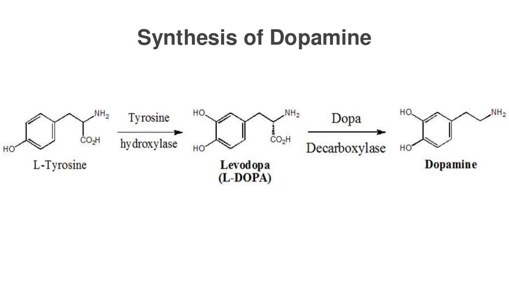 Dopamine & levodopa