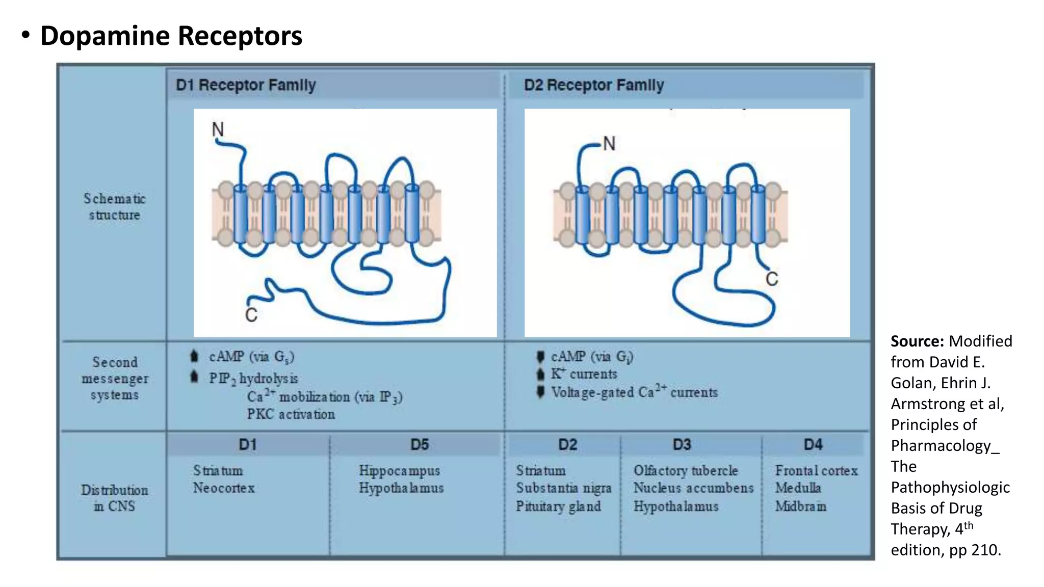 Dopamine neurotransmission pharmacology.pptx