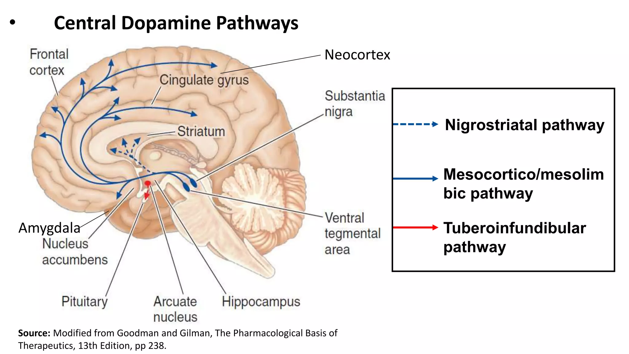 Dopamine neurotransmission pharmacology.pptx