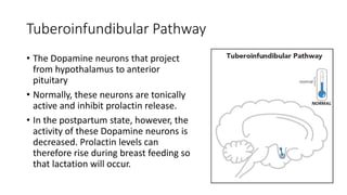 DOPAMINE NEUROTRANSMITTERS .pptx