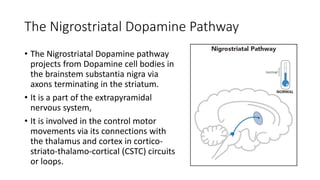DOPAMINE NEUROTRANSMITTERS .pptx