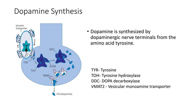 DOPAMINE NEUROTRANSMITTERS .pptx