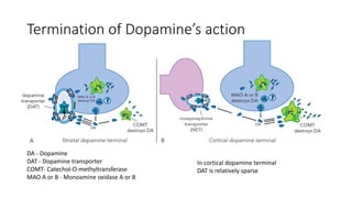 DOPAMINE NEUROTRANSMITTERS .pptx