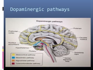 Dopamine Receptors by Manisha | PPT