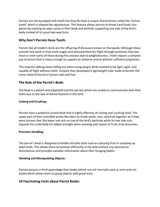 Do Parrots have Teeth: Why Don’t Parrots Have Teeth | PDF