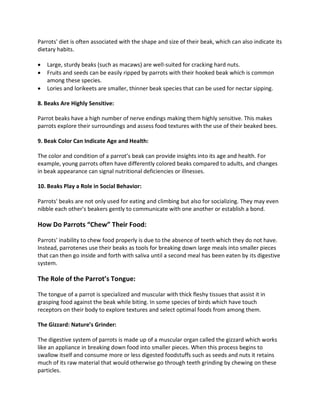 Do Parrots have Teeth: Why Don’t Parrots Have Teeth | PDF