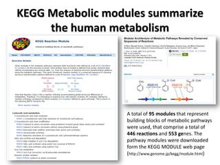 Differential metabolic activity and discovery of therapeutic targets ...