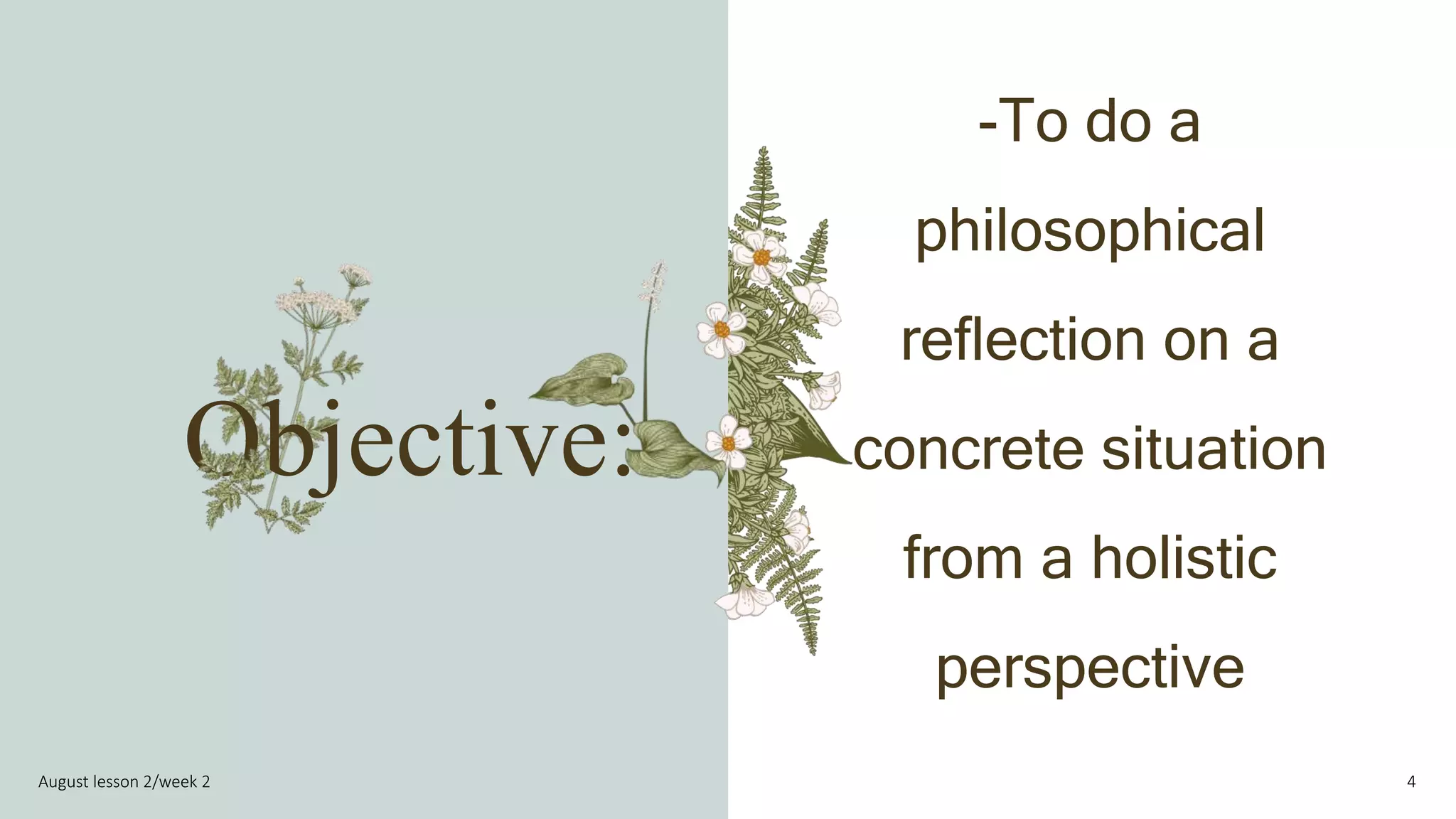 do philosophical reflection (lesson 3).pptx