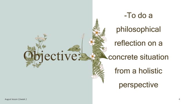 do philosophical reflection (lesson 3).pptx