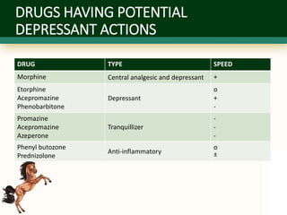Doping in horses | PPTX