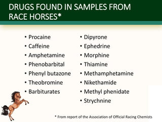 Doping in horses | PPT