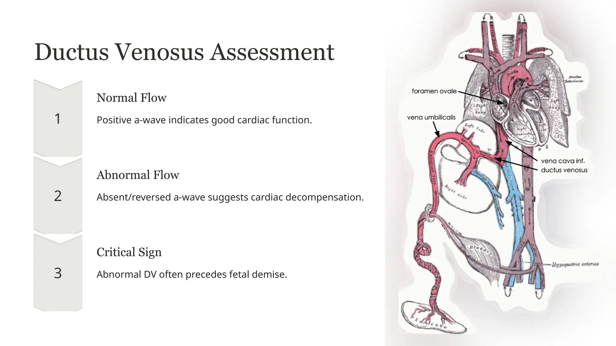 Doppler-in-Fetal-Growth-Restriction-FGR.pptx