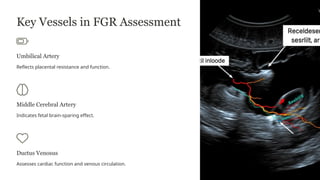 Doppler-in-Fetal-Growth-Restriction-FGR.pptx