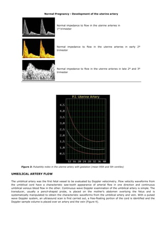 Doppler in-obstetrics | PDF