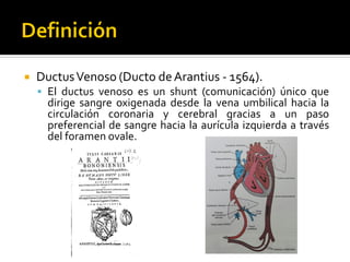 Doppler del ductus venoso fetal | PDF