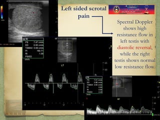 Doppler training for Clinicians | PPT