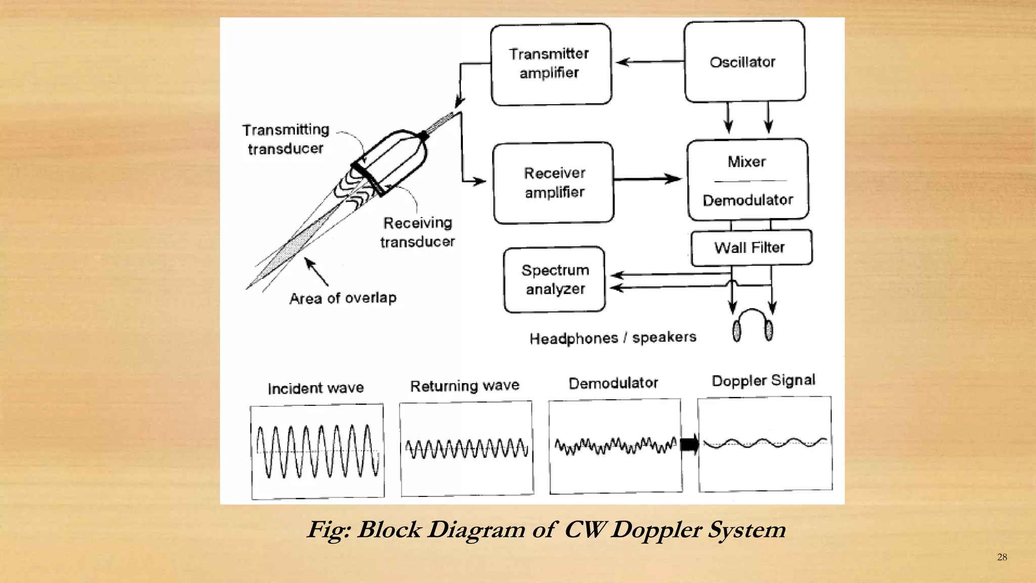 Doppler Effect - Ultrasound