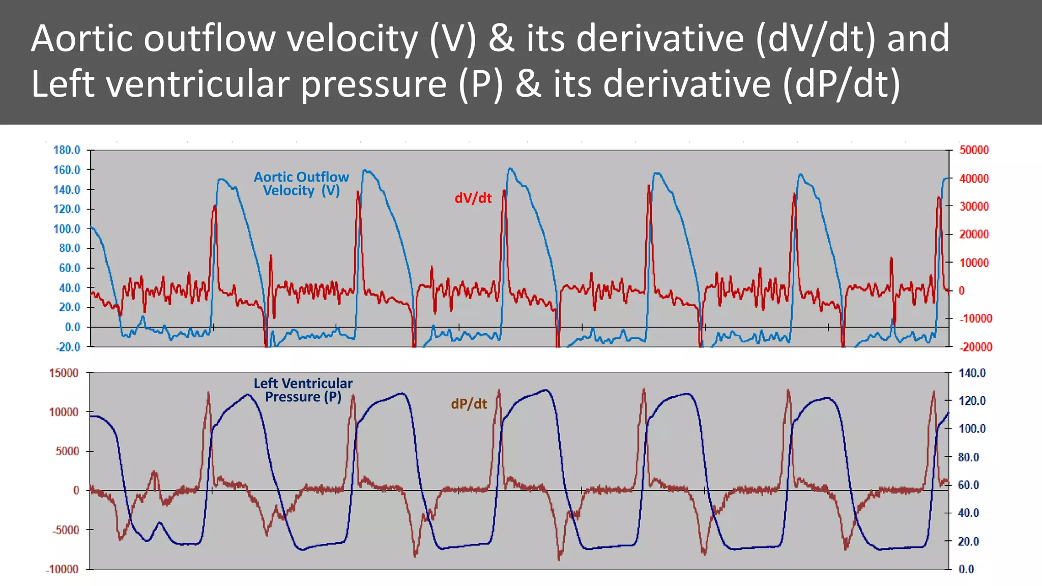 Doppler Flow Velocity Measurements for Cardiovascular Research | PDF
