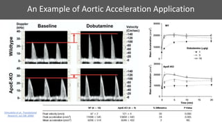 Doppler Flow Velocity Measurements for Cardiovascular Research | PDF