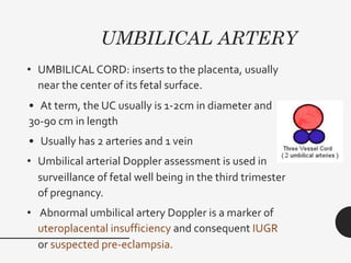 DOPPLER IN OBSTETRICS (1).pdf