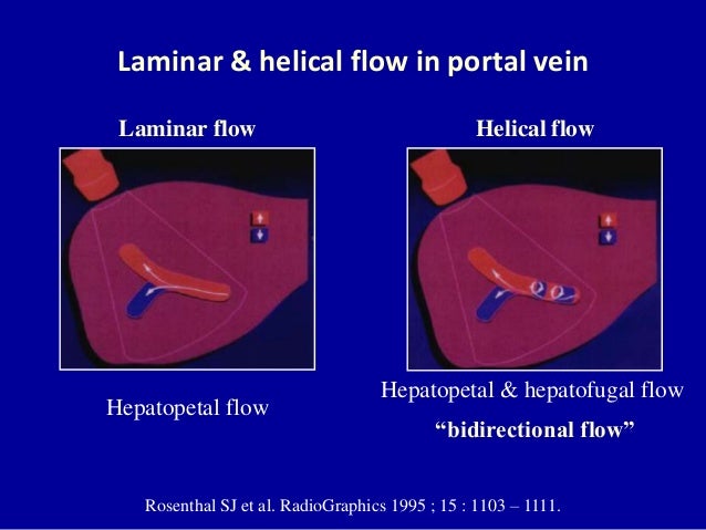 Doppler ultrasound of the portal system - Normal findings