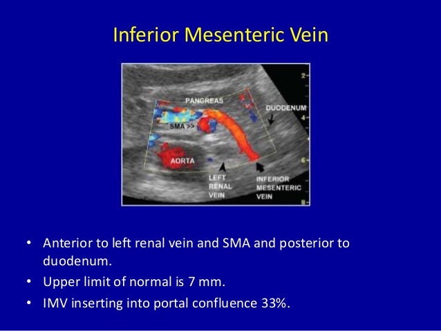 Inferior Mesenteric Artery Ultrasound Superior And Inferior Mesenteric