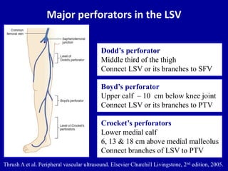Doppler ultrasound in deep vein thrombosis | PPT