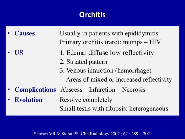 Orchitis Treatment Epididymitis And Orchitis In Dogs Symptoms,