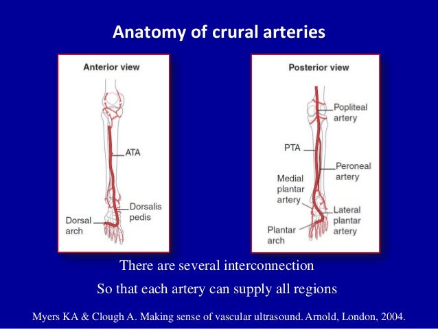 Doppler ultrasound of lower limb arteries