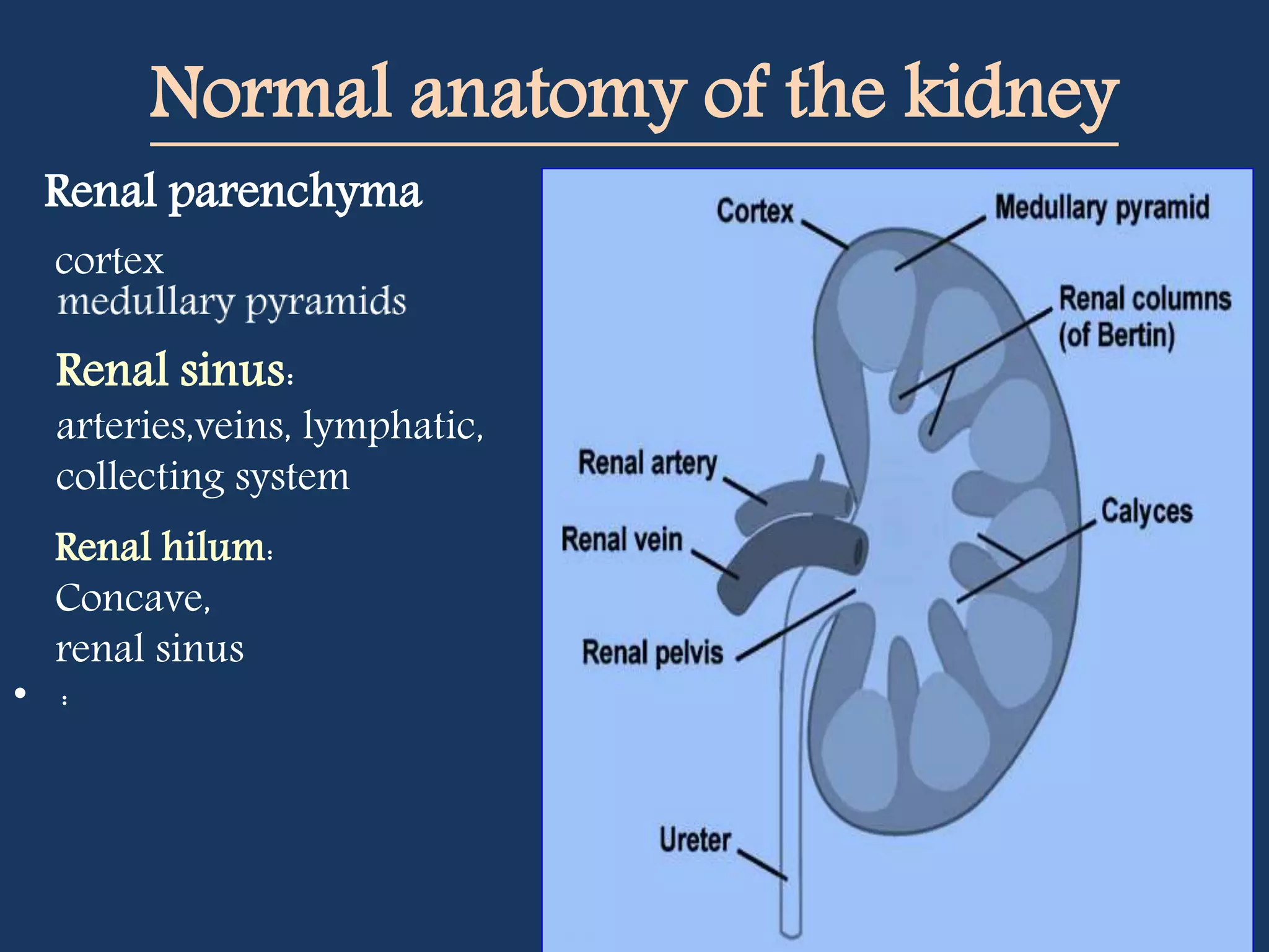 Doppler ultrasound of the Kidney | PPTX