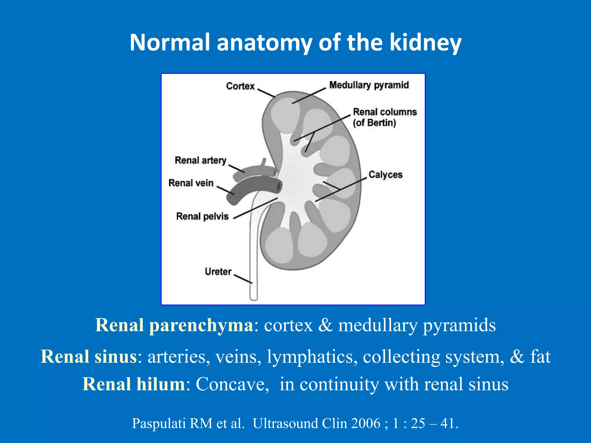 Doppler ultrasound of the kidneys 1 | PPTX