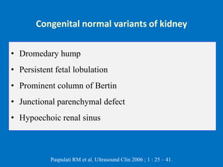 Doppler ultrasound of the kidneys 1 | PPTX