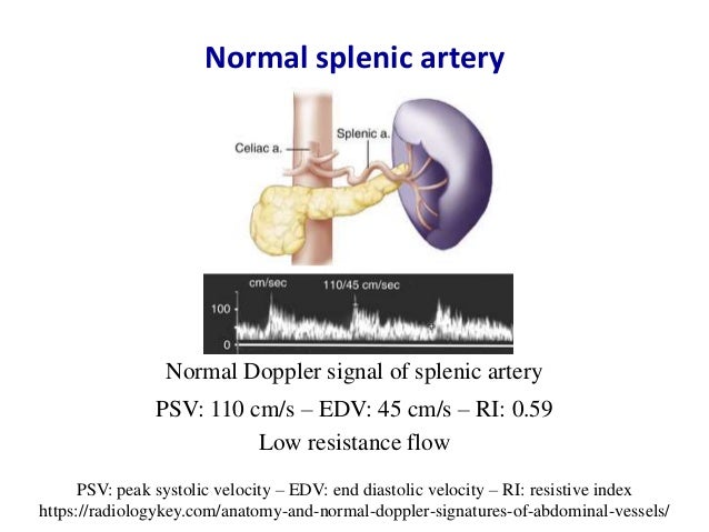 Doppler ultrasound of visceral arteries