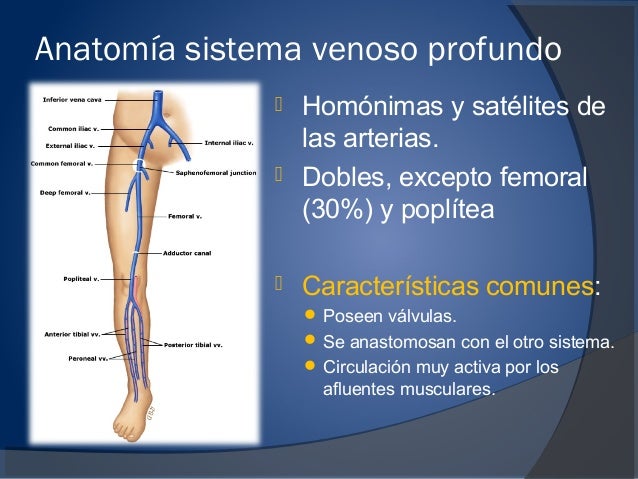 Dopple venosos tvp e insuficiencia