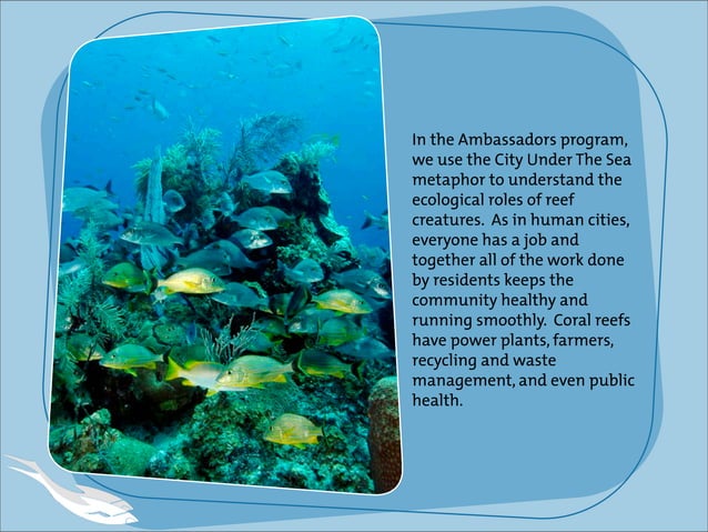 Dorado Beach Puerto Rico Slideshow | PDF | Zoos & Aquariums | Attractions