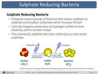 Biological Remediation of Acid Mine Drainage (AMD) | PPTX