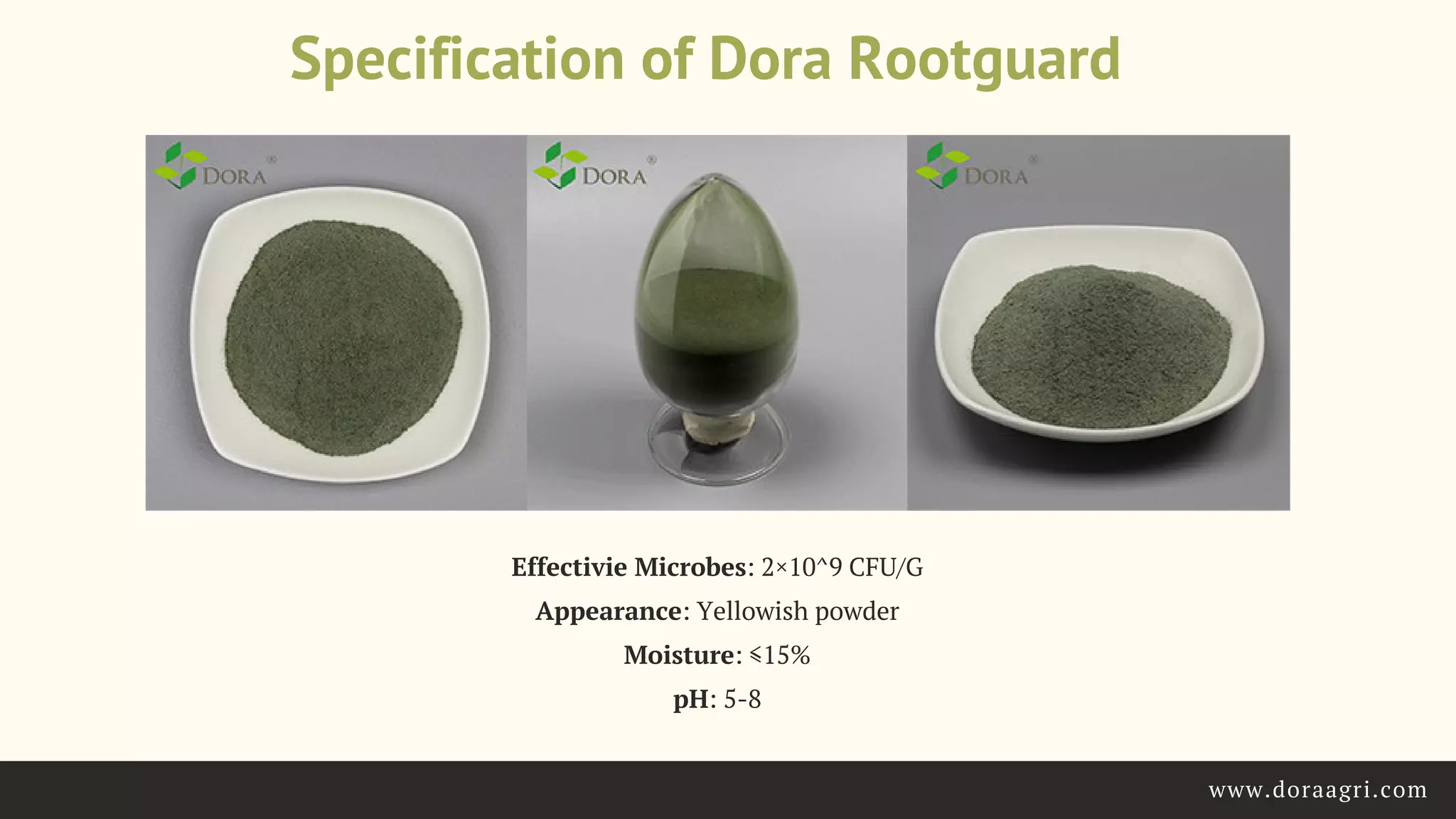 Dora Rootguard Trichoderma harzianum biological fungicide | Dora Agri-Tech | PDF