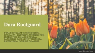 Dora Rootguard Trichoderma harzianum biological fungicide | Dora Agri-Tech | PDF