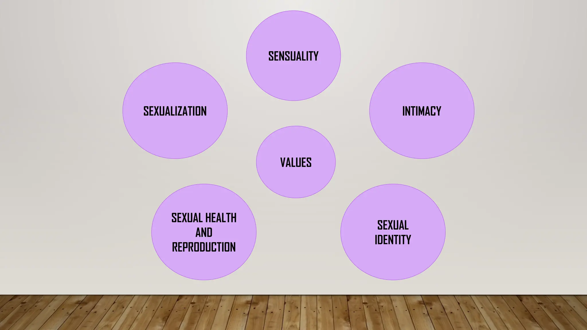 THE DIVERSITY OF HUMAN SEXUALITY-ppt.pptx