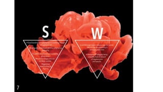 Doritos campaign plans book | PPT