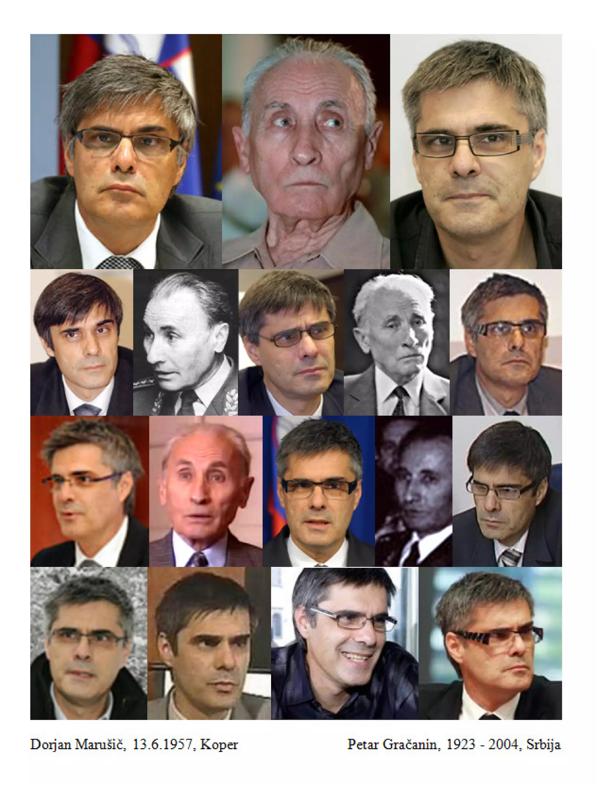 Dorjan Marušič - Petar Gračanin | PDF