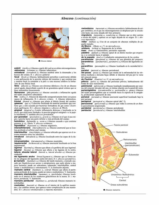 Dorland Diccionario Enciclopedico Ilustrado de Medicina 30ed | PDF