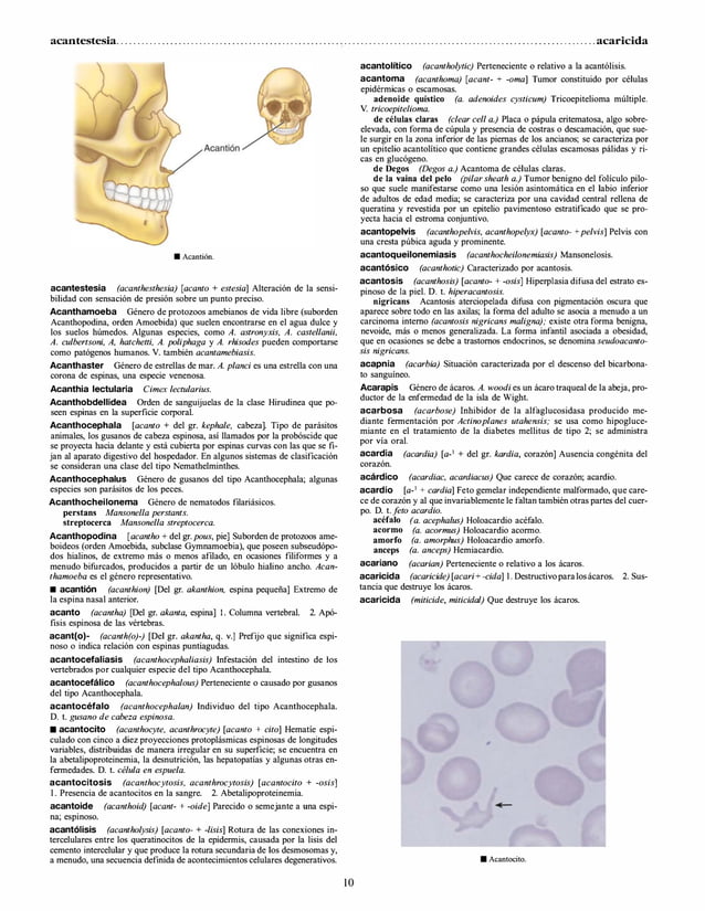 Dorland Diccionario Enciclopedico Ilustrado de Medicina 30ed | PDF
