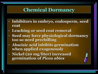 Dormancy.ppt
