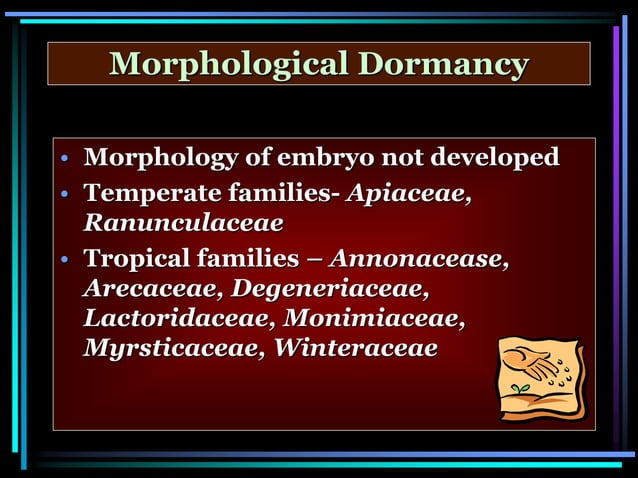 Dormancy.ppt