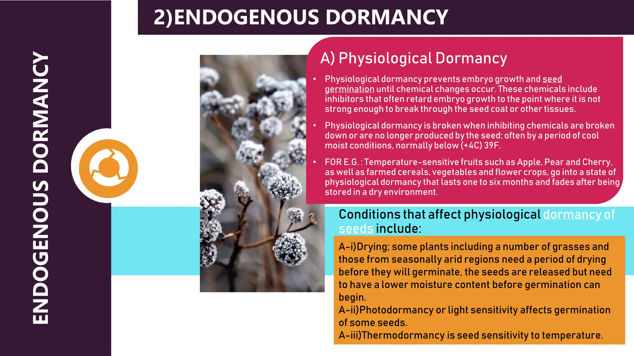 Dormancy , Hormonal regulation of seed germination , Role of Plant ...