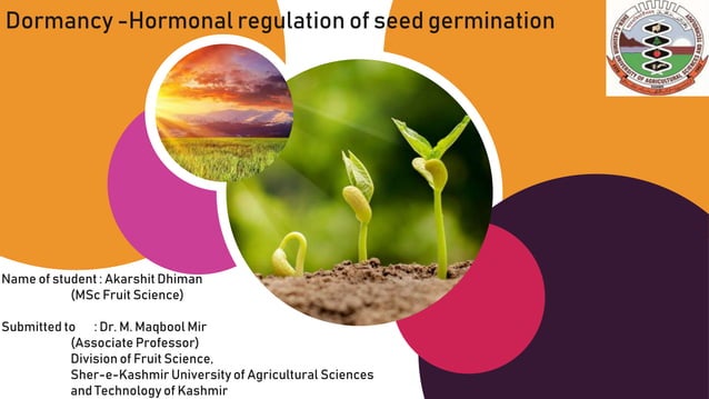 Dormancy , Hormonal regulation of seed germination , Role of Plant Growth Regulators. | PPTX ...
