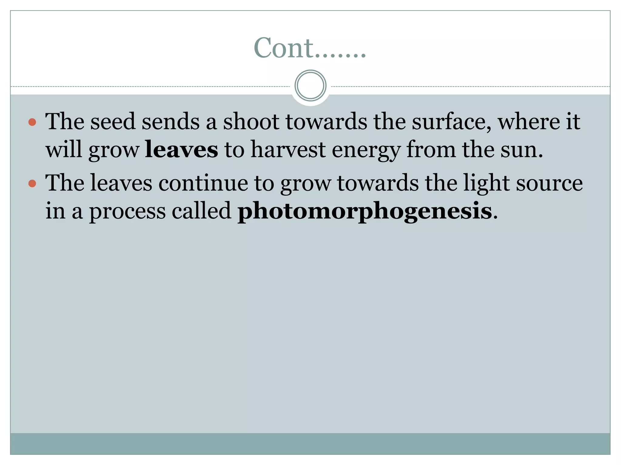 Dormancy, germination, and seed development | PPTX
