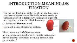 Dormancy ppt ravi | PPT